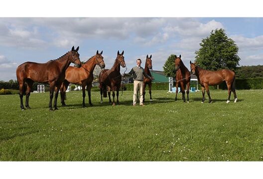 Luc Henry: “I took a worthwhile risk” - Breeding News for Sport Horses