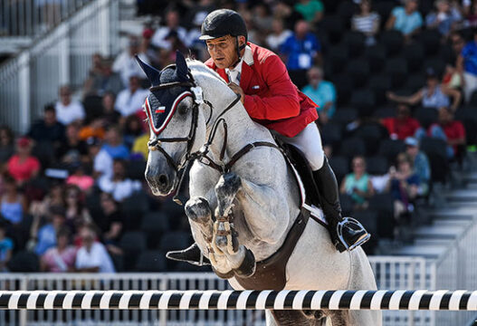 Cardento: One of Capitol I’s last remaining sons passes - Breeding News ...