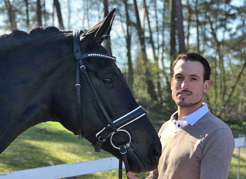 Manuel Springhetti joins Oldenburg team - Breeding News for Sport Horses