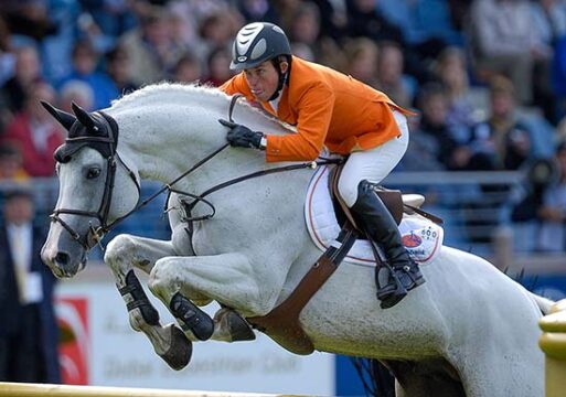 Berlin: A special stallion and a wonderful sporting career - Breeding ...