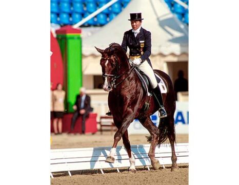Donnerhall: Paying tribute to a legendary dressage sire - Breeding News ...