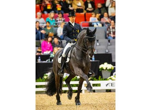 Marc-Peter Spahn: Friesian dressage horse ambassador - Breeding News ...