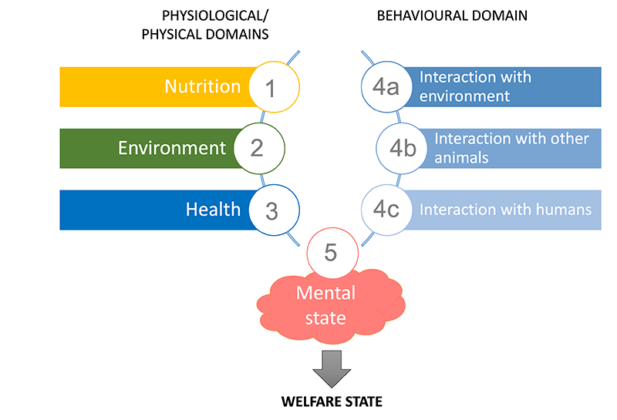 Horse well-being and health: Part 2 – Nutrition - Breeding News for ...