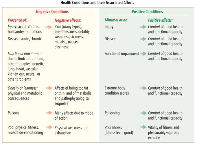 How to assess welfare using ‘The 5 Domains Model’ - Breeding News for ...