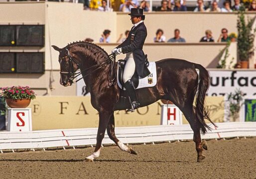 Donnerhall: The towering modern dressage colussus - Breeding News for ...