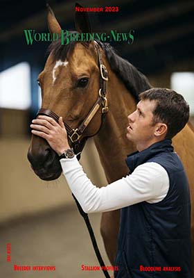 Homepage – new2 - Breeding News for Sport Horses